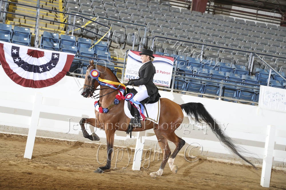 PB Show Hack AAOTR - Horse Shows - 2020 - 2025 Farm and Horse Shows ...