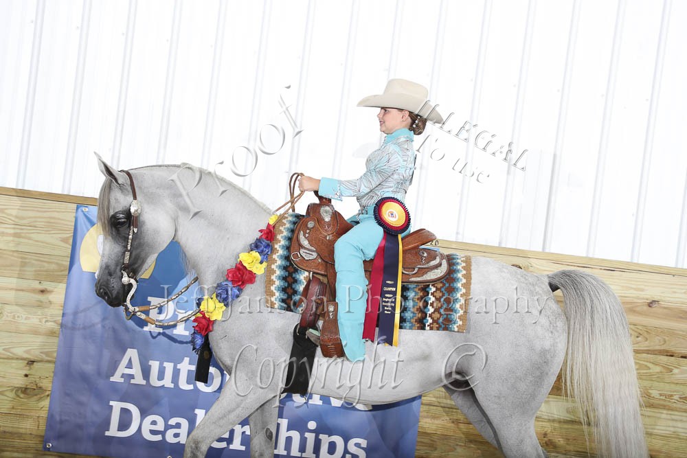 PB & HA Western Pleasure - Horse Shows - 2020 - 2025 Farm and Horse ...