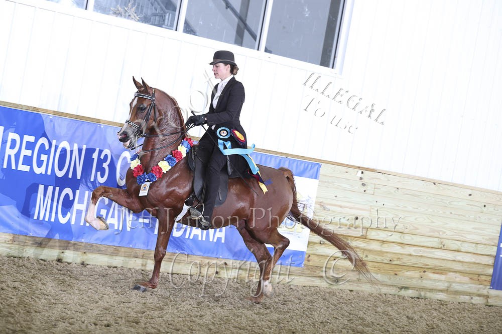 Open - Horse Shows - 2020 - 2025 Farm and Horse Shows - 2020 Region 13 ...