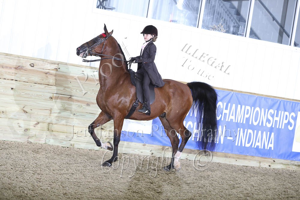 HA Country English Pleasure - Horse Shows - 2020 Farm and Horse Shows ...