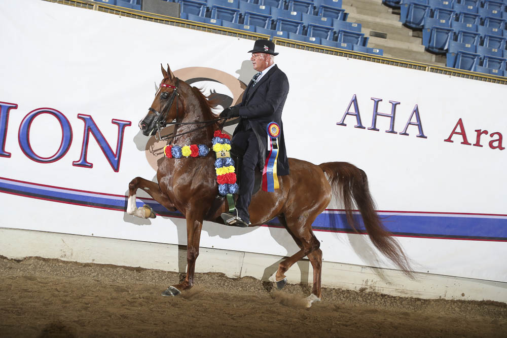 Open - Horse Shows - 2020 - 2025 Farm and Horse Shows - 2020 Region 8 ...