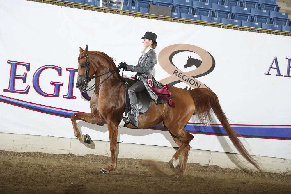 Open - Horse Shows - 2020 - 2025 Farm and Horse Shows - 2020 Region 8 ...
