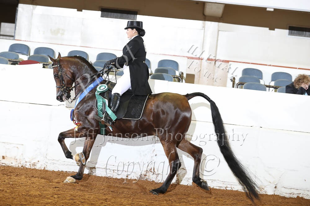 PB Show Hack AAOTR - Horse Shows - 2020 - 2024 Farm and Horse Shows ...