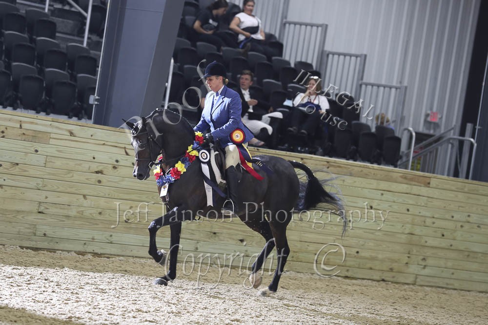 Open - Horse Shows - 2020 - 2025 Farm and Horse Shows - 2021 Region 13 ...