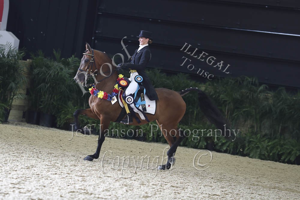 HA Show Hack ATR - Horse Shows - 2020 - 2025 Farm and Horse Shows ...
