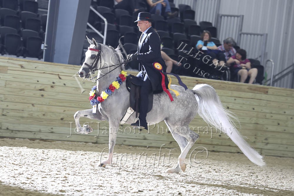 Open - Horse Shows - 2020 - 2025 Farm and Horse Shows - 2021 Region 13 ...