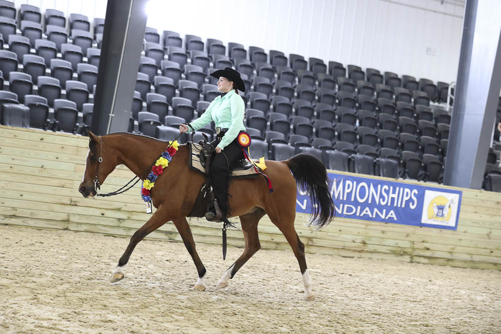 Horse Shows - 2020 - 2025 Farm and Horse Shows - 2021 Region 13 ...