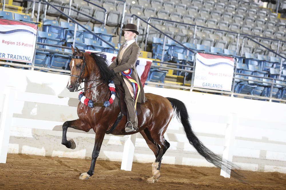 Horse Shows - 2020 - 2025 Farm and Horse Shows - 2021 Region 15 ...