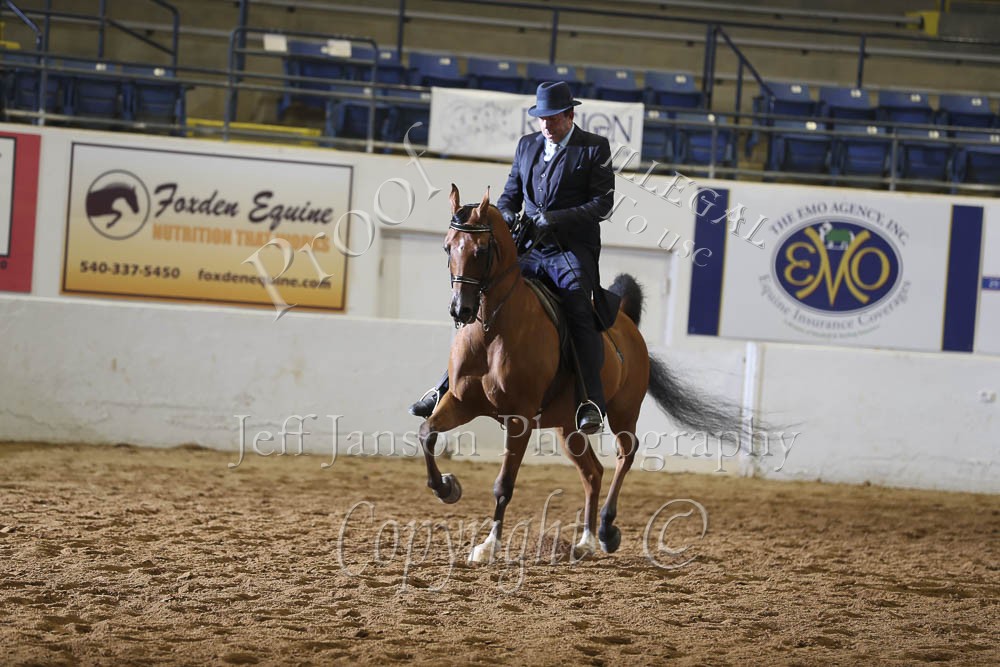 Open - Horse Shows - 2020 - 2025 Farm and Horse Shows - 2021 Region 15 ...