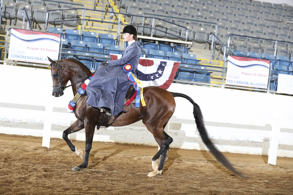PB Side Saddle English - Horse Shows - 2020 - 2025 Farm and Horse Shows ...