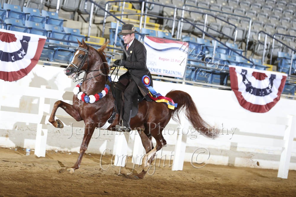 Open - Horse Shows - 2020 - 2025 Farm and Horse Shows - 2021 Region 15 ...