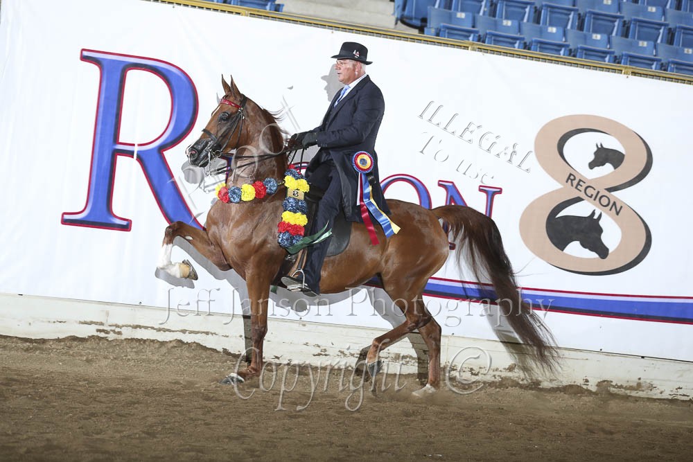 Open - Horse Shows - 2020 - 2025 Farm and Horse Shows - 2021 Region 8 ...