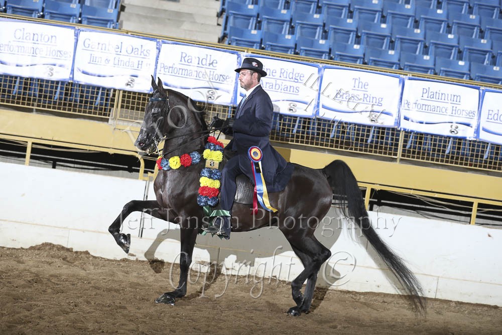 Open - Horse Shows - 2020 - 2025 Farm and Horse Shows - 2021 Region 8 ...