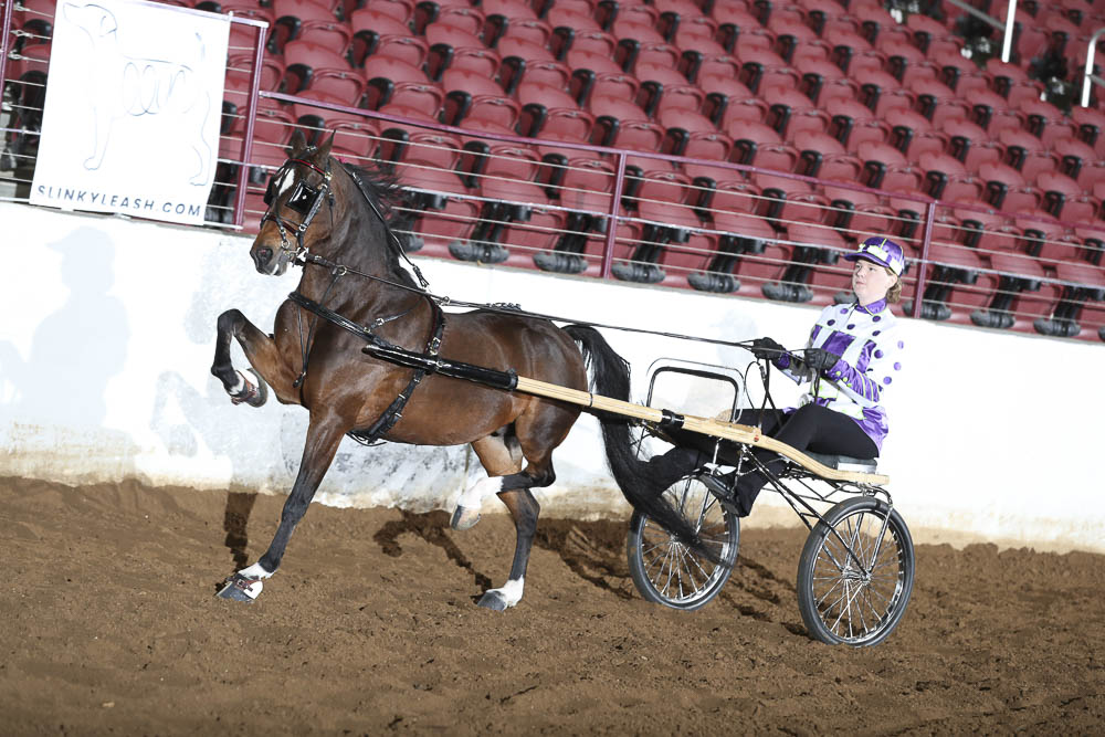 Horse Shows - 2020 - 2025 Farm and Horse Shows - 2021 ASHAM Fall Show ...
