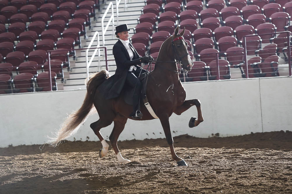 Three Gaited - Horse Shows - 2020 - 2025 Farm and Horse Shows - 2021 ...
