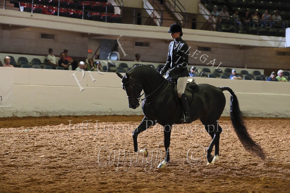 Open - Horse Shows - 2020 - 2025 Farm and Horse Shows - 2022 Region 9 ...