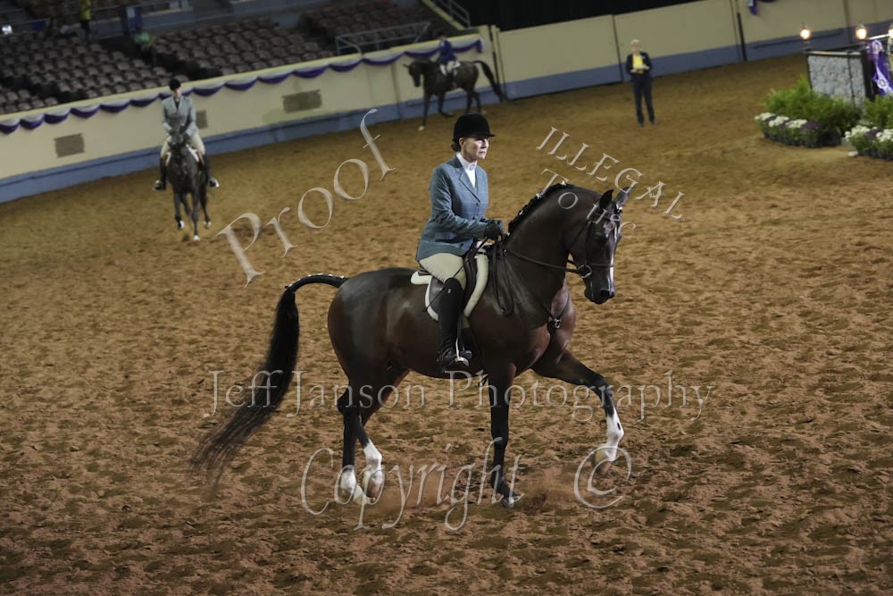 Open - Horse Shows - 2020 - 2026 Farm and Horse Shows - 2022 AHA Youth ...