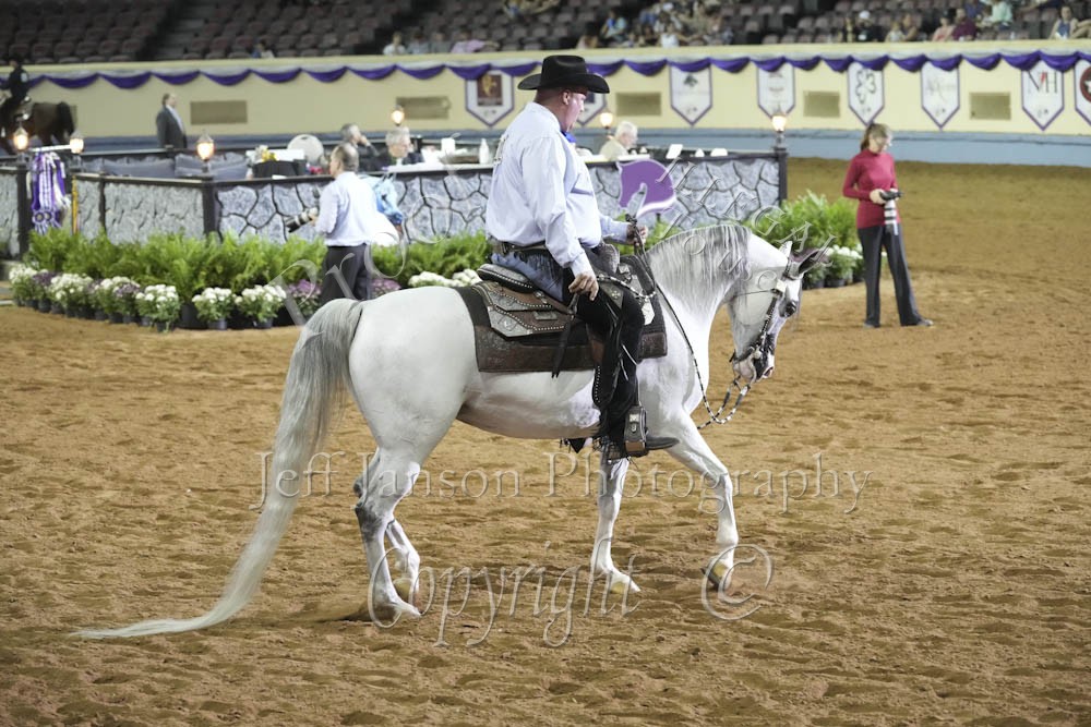 Open - Horse Shows - 2020 - 2025 Farm and Horse Shows - 2022 AHA Youth ...