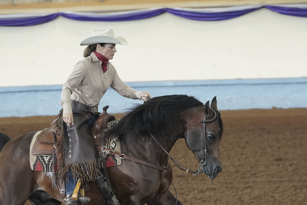 Horse Shows - 2020 - 2025 Farm and Horse Shows - 2022 AHA Youth and Mid ...