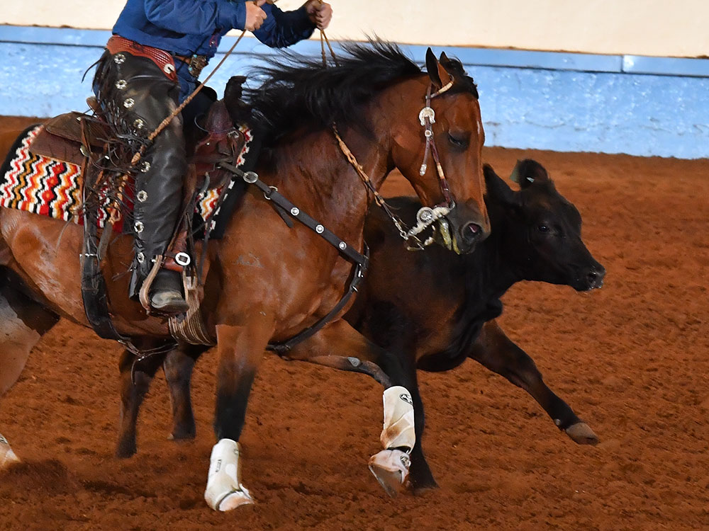 Horse Shows - 2020 - 2025 Farm and Horse Shows - 2022 AHA Youth and Mid ...