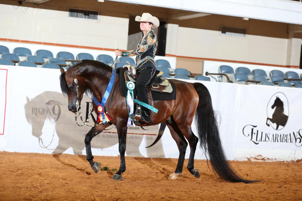 Horse Shows - 2020 - 2025 Farm and Horse Shows - 2023 Region 9 ...