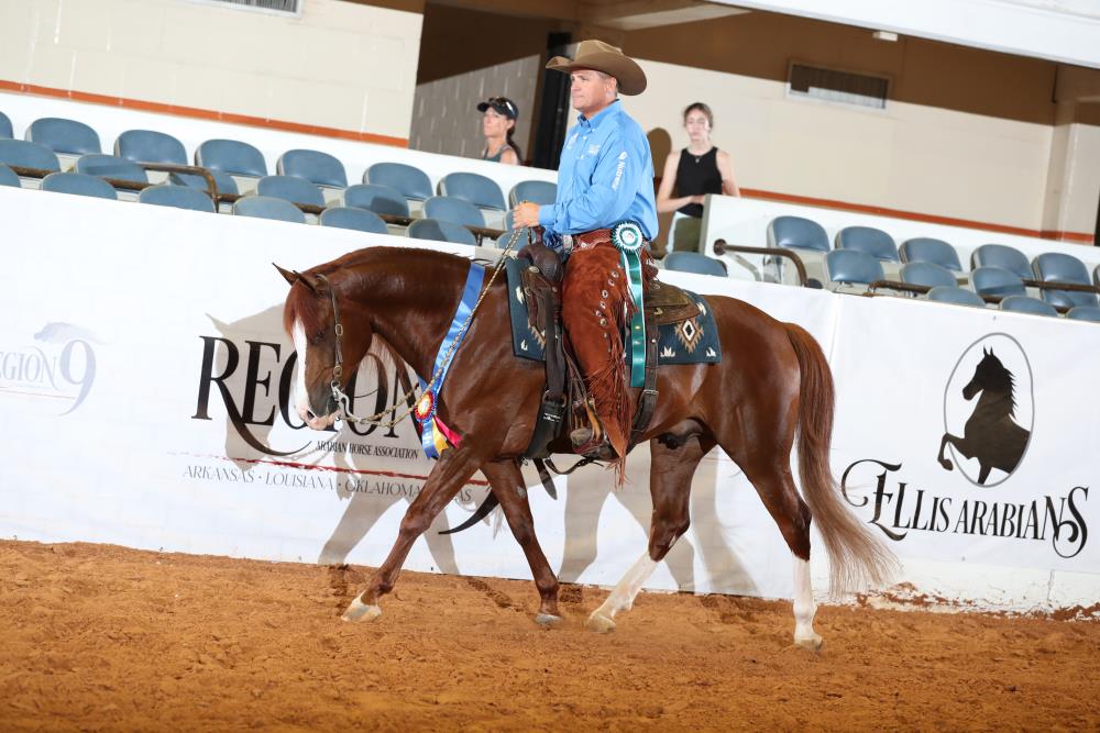 Horse Shows - 2020 - 2025 Farm and Horse Shows - 2023 Region 9 ...