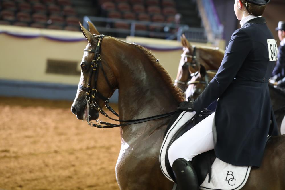 Horse Shows - 2020 - 2025 Farm and Horse Shows - 2023 AHA Youth and Mid ...