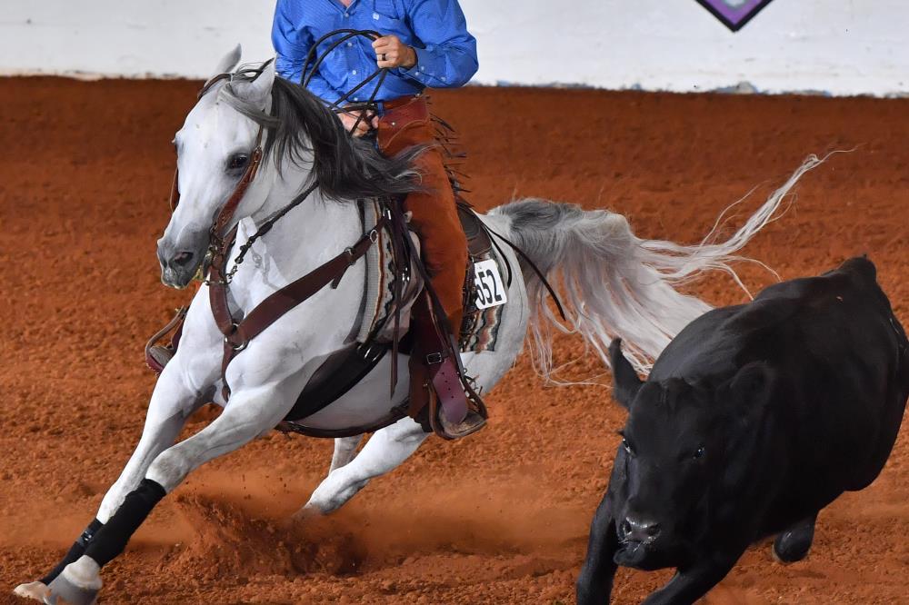 Horse Shows - 2020 - 2026 Farm and Horse Shows - 2023 AHA Youth and Mid ...