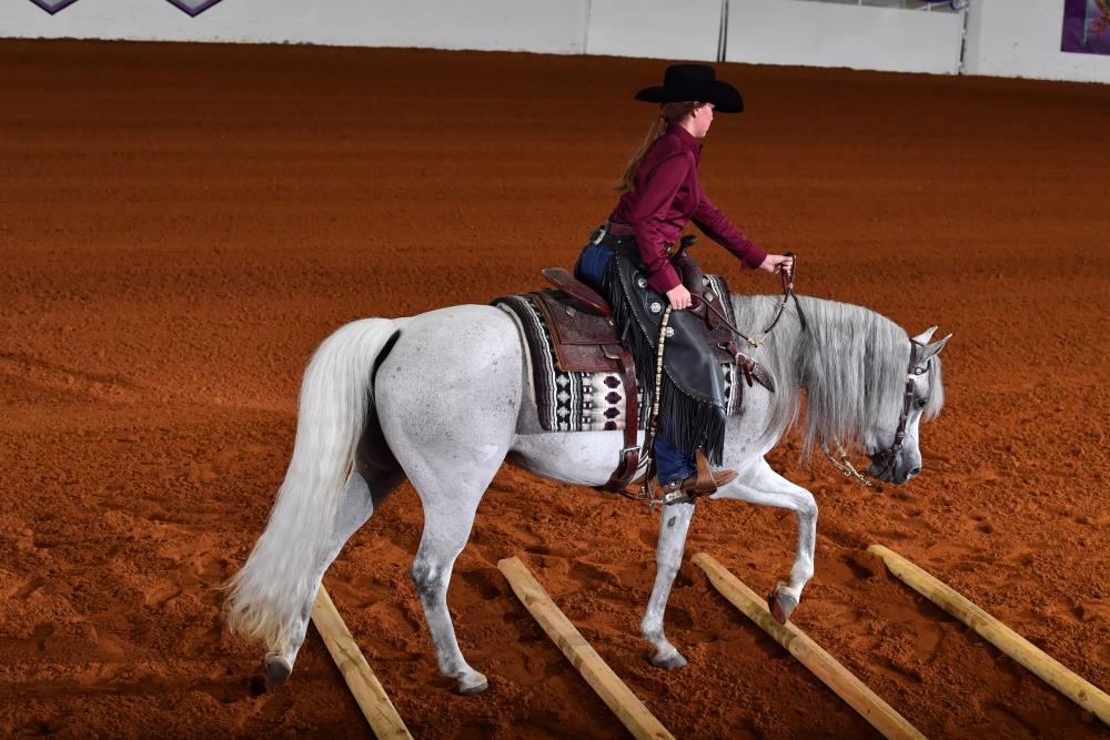 Horse Shows - 2020 - 2025 Farm and Horse Shows - 2023 AHA Youth and Mid ...