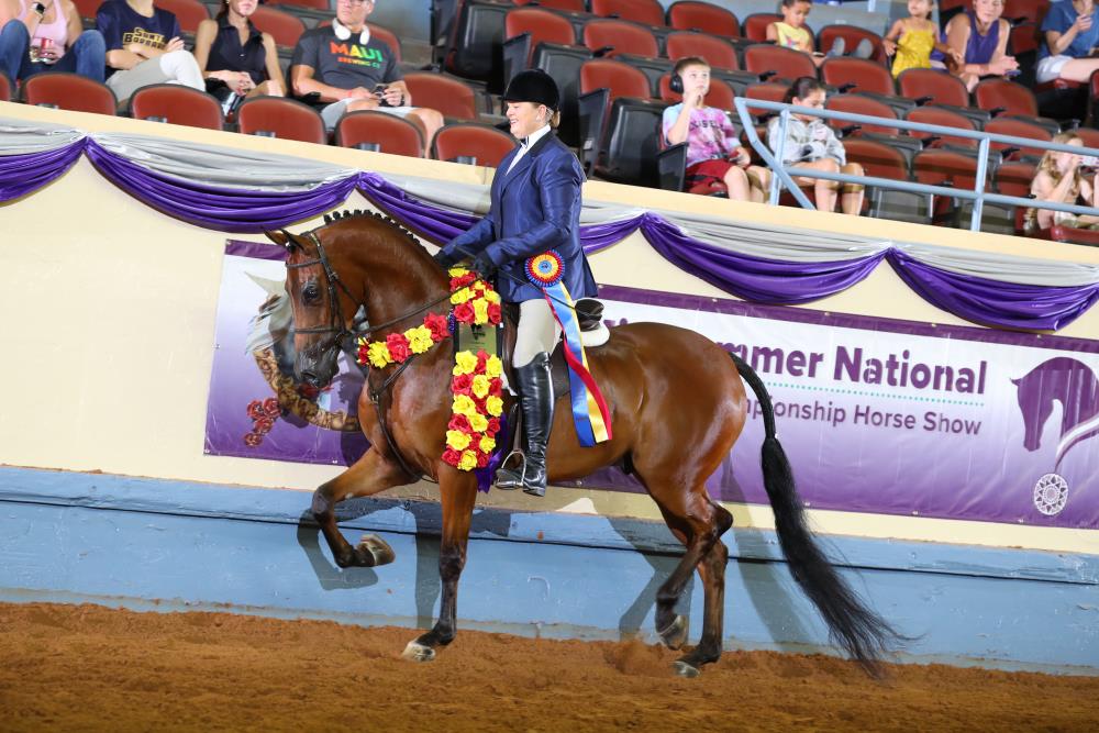 Horse Shows - 2020 - 2025 Farm and Horse Shows - 2024 Youth-MidSummer ...