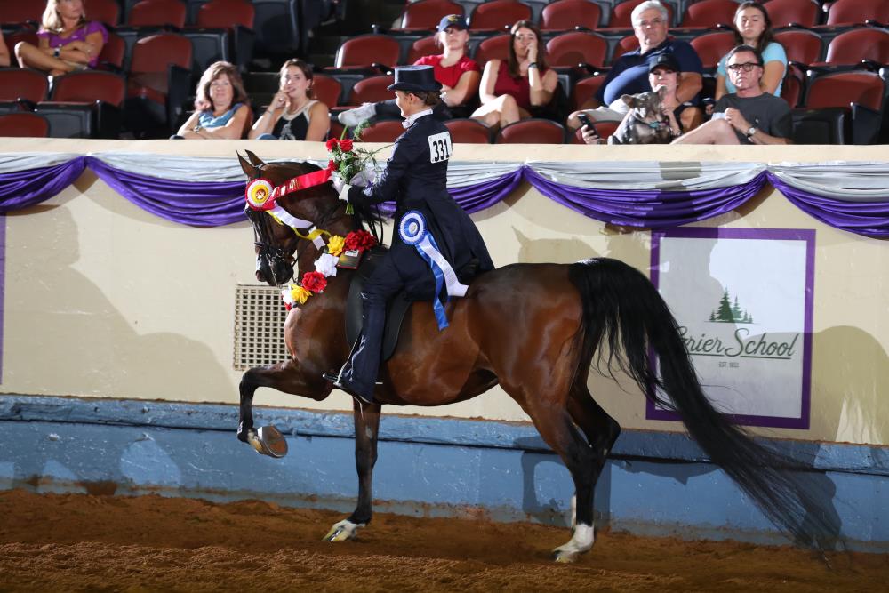 Horse Shows - 2020 - 2025 Farm and Horse Shows - 2024 Youth-MidSummer ...