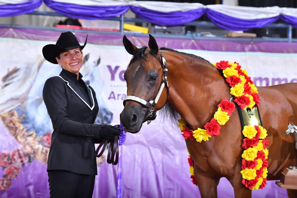 Horse Shows - 2020 - 2025 Farm and Horse Shows - 2024 Youth-MidSummer ...
